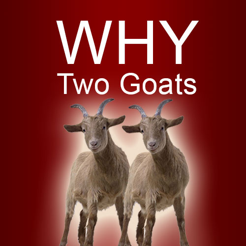 Erev Yom Kippur – Why 2 Goats – ARIEL